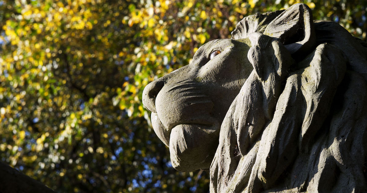 The Animal Wall • Explore The Castle • Cardiff Castle